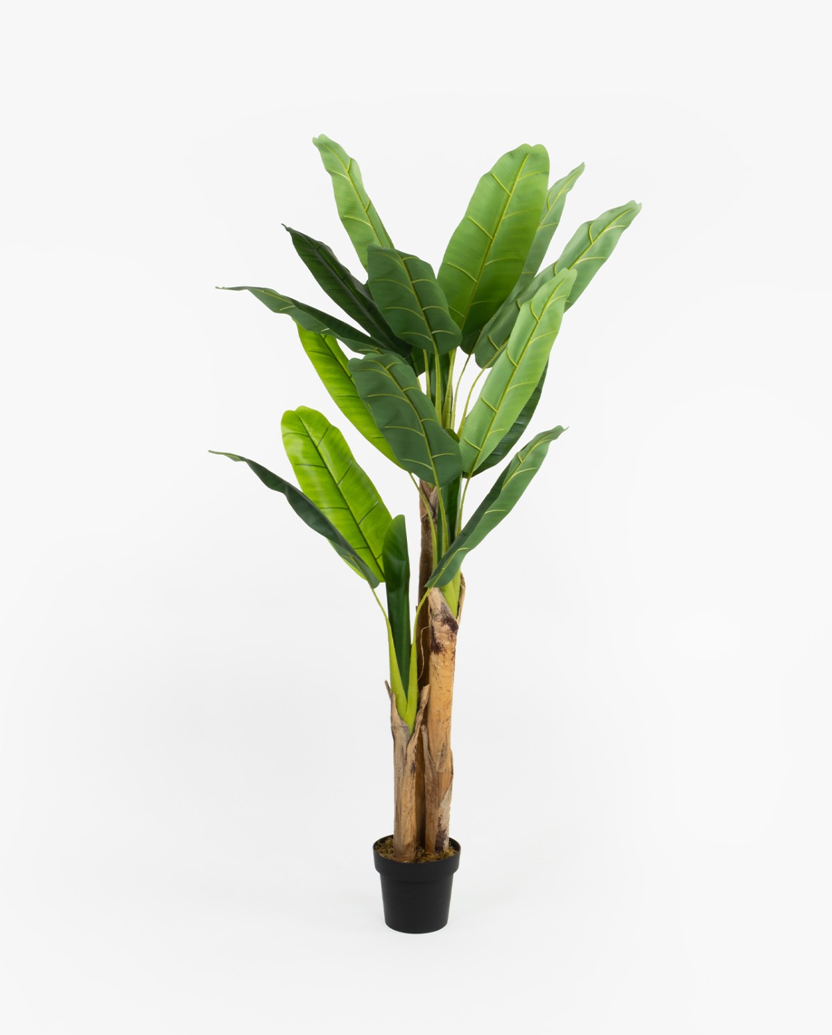 Planta artificial Bananera con tronco 180cm